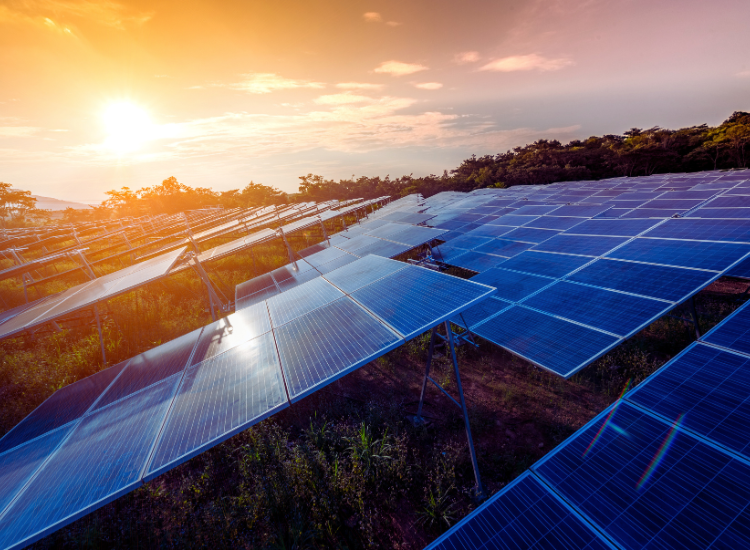 KSA Green Project Map - Green Projects in KSA