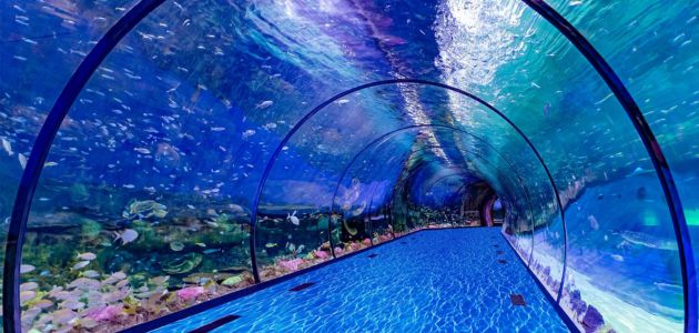 Jeddah Projects: Future Developments Under Saudi Arabia’s Vision 2030